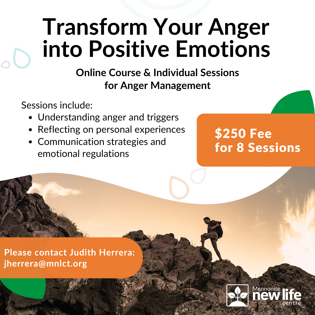 Online Course Individual Sessions For Anger Management Mnlc